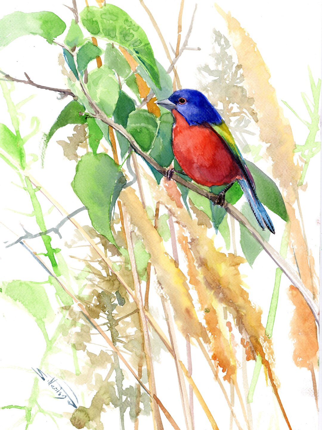 Painted Bunting in the Wild Bird Watercolor Artwork, Original, One of a ...