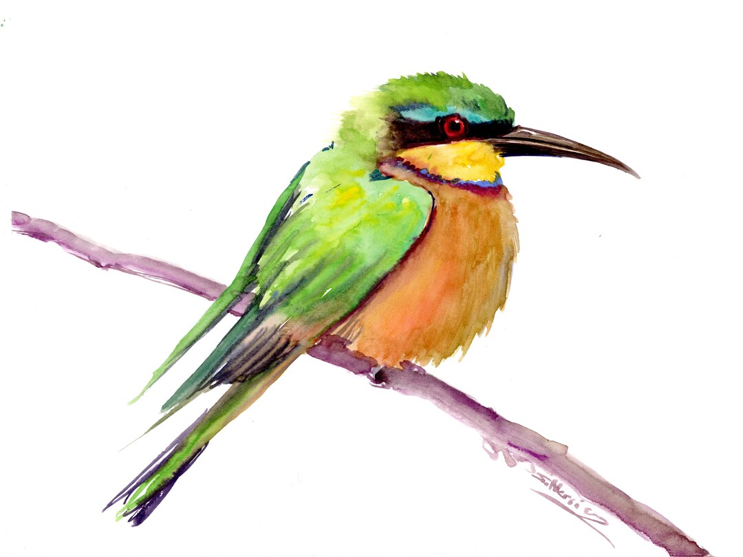 Bee Eater Bird Watercolor Painting - Etsy