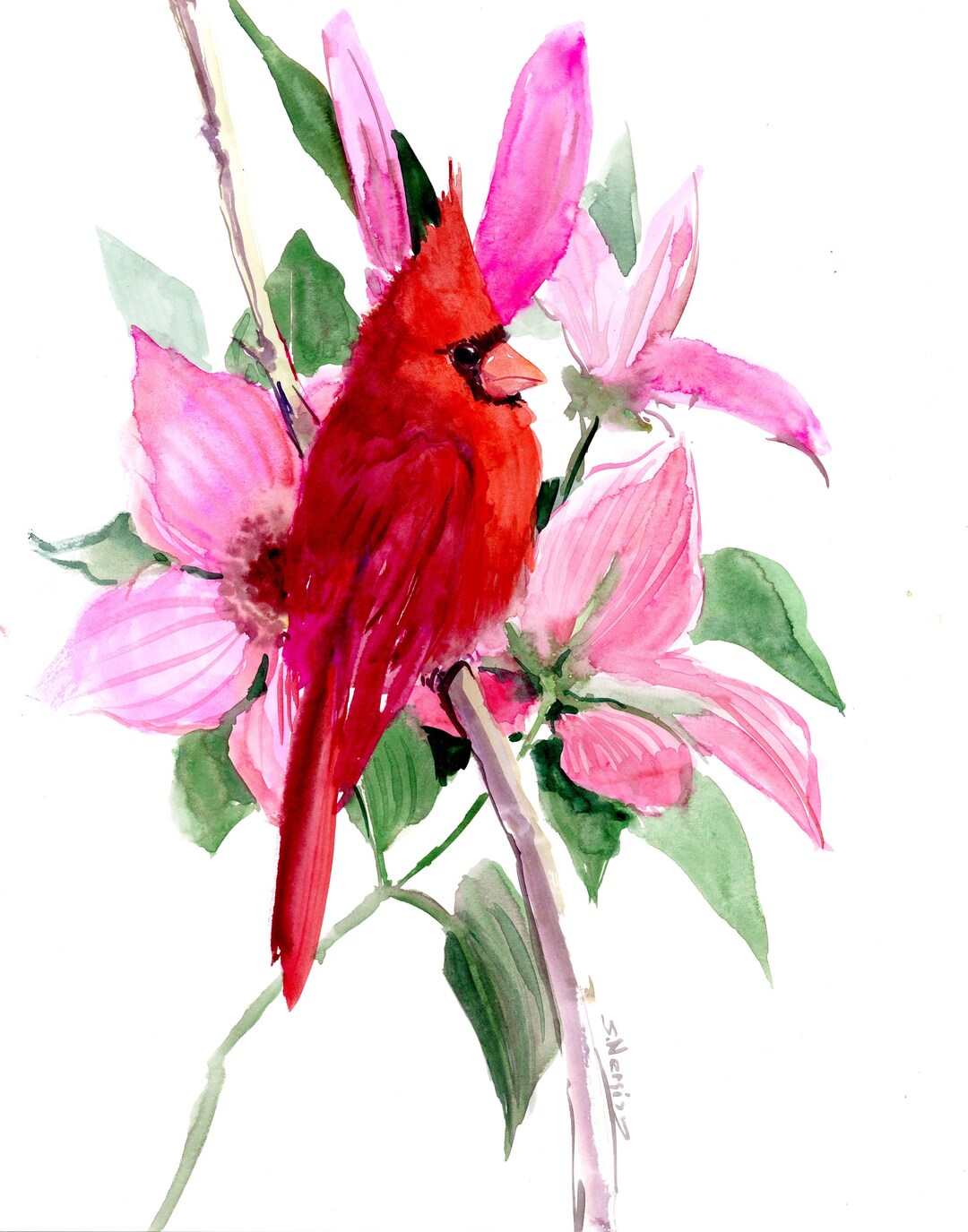 Cardinal Bird and Pink Flowers Originl Watercolor Artwork, Nature ...