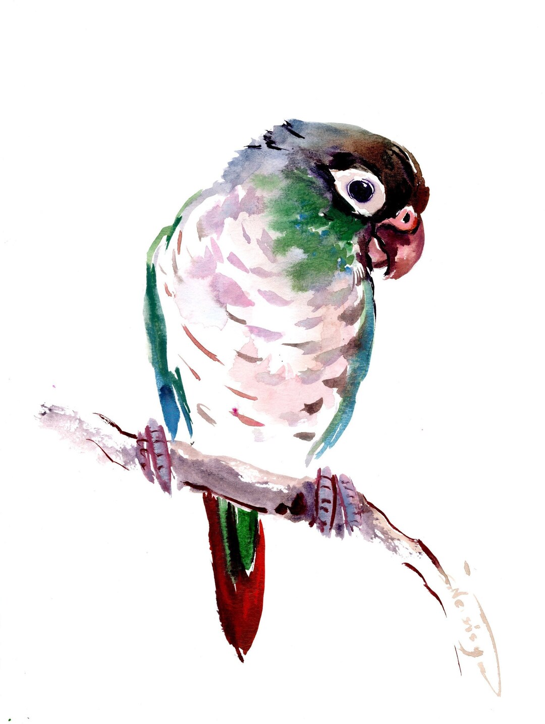 Green Conure Parrot Artwork, Original Watercolor Painting - Etsy