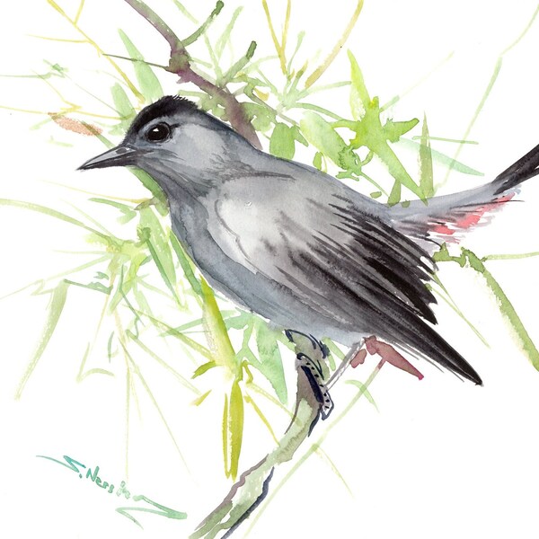 Catbird Painting - Etsy