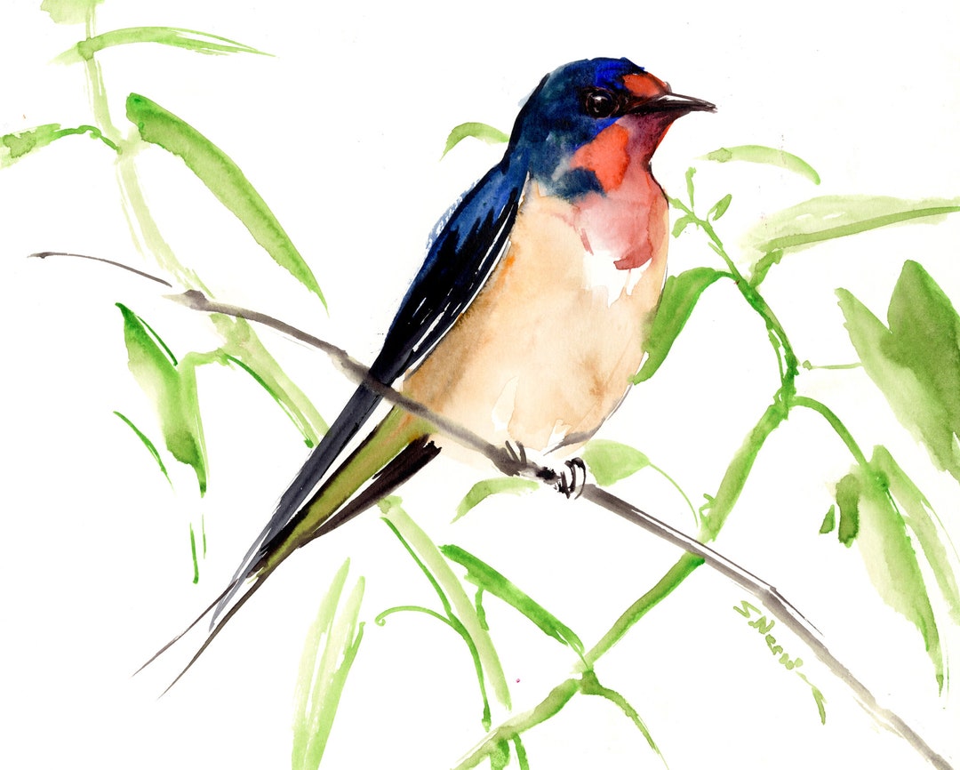 Barn Swallow Bird Artwork, Original Watercolor Painting - Etsy