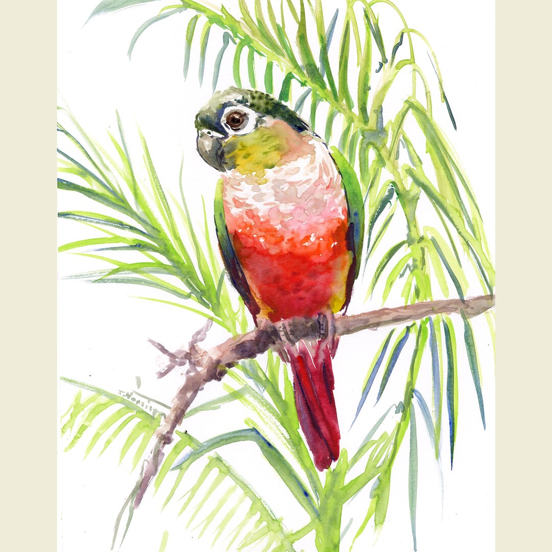 Pineapple Conure Parakeet Parrot Artwork, an Original Watercolor ...