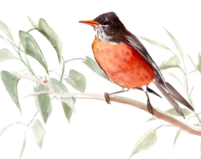 American Robin Watercolor Artwork, Original Painting Bird Art - Etsy
