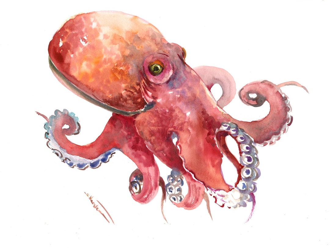 Watercolor Octopus Artwork, Original Art, Red and Coral Red Sea World ...