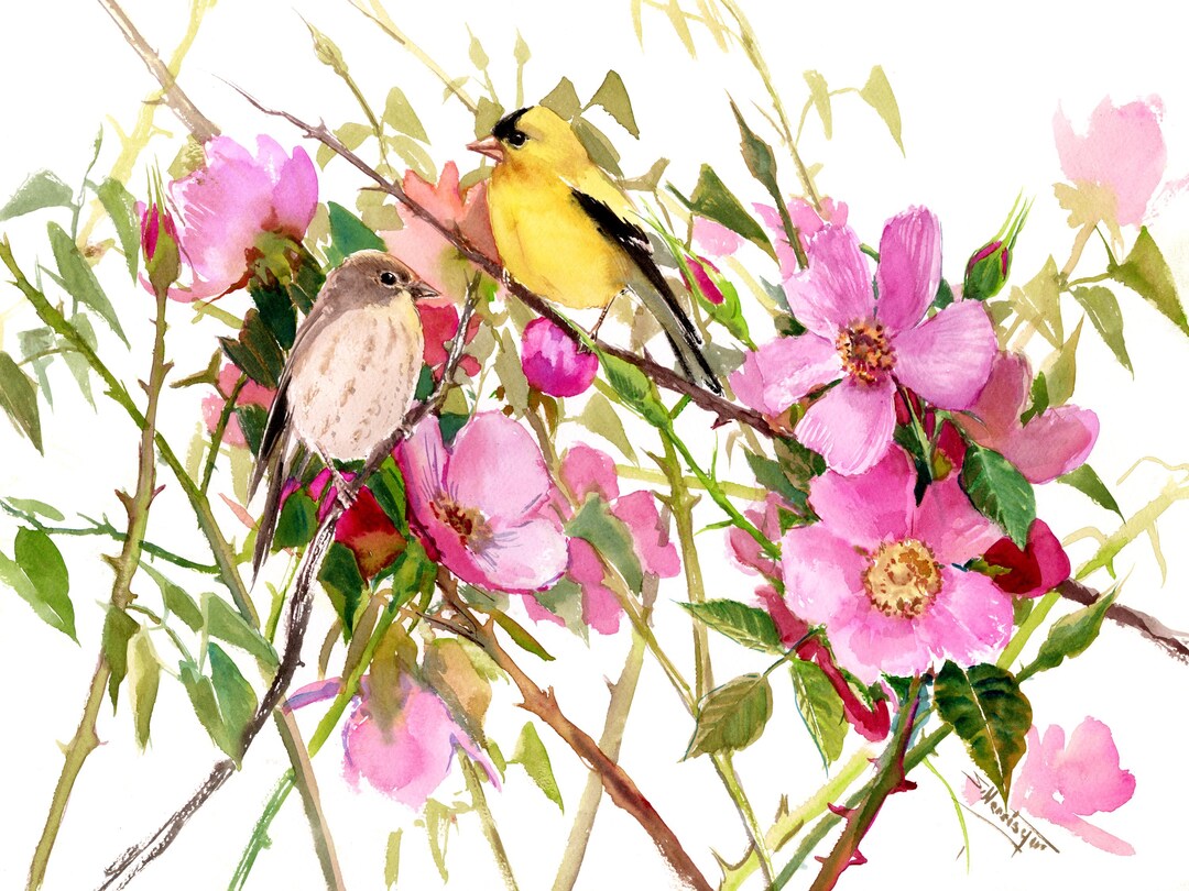 Goldfinch and Prairie Rose Watercolor Art, Original Painting by Artist ...