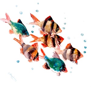 Tiger Barb Artwork- Aquarium Fish Original Watercolor Painting - Etsy