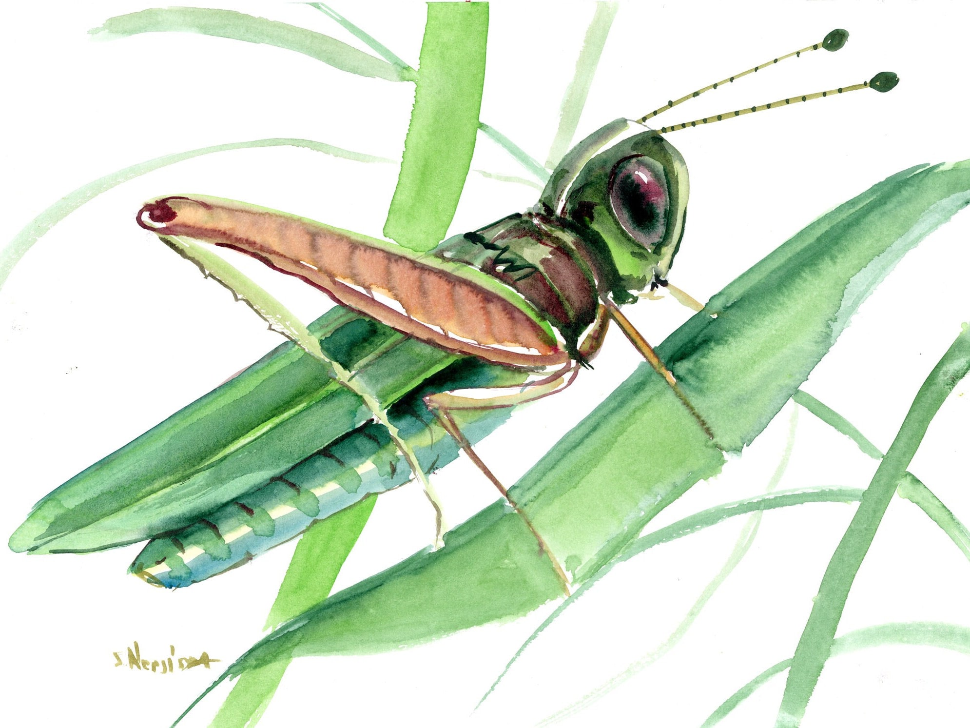Grasshopper Painting