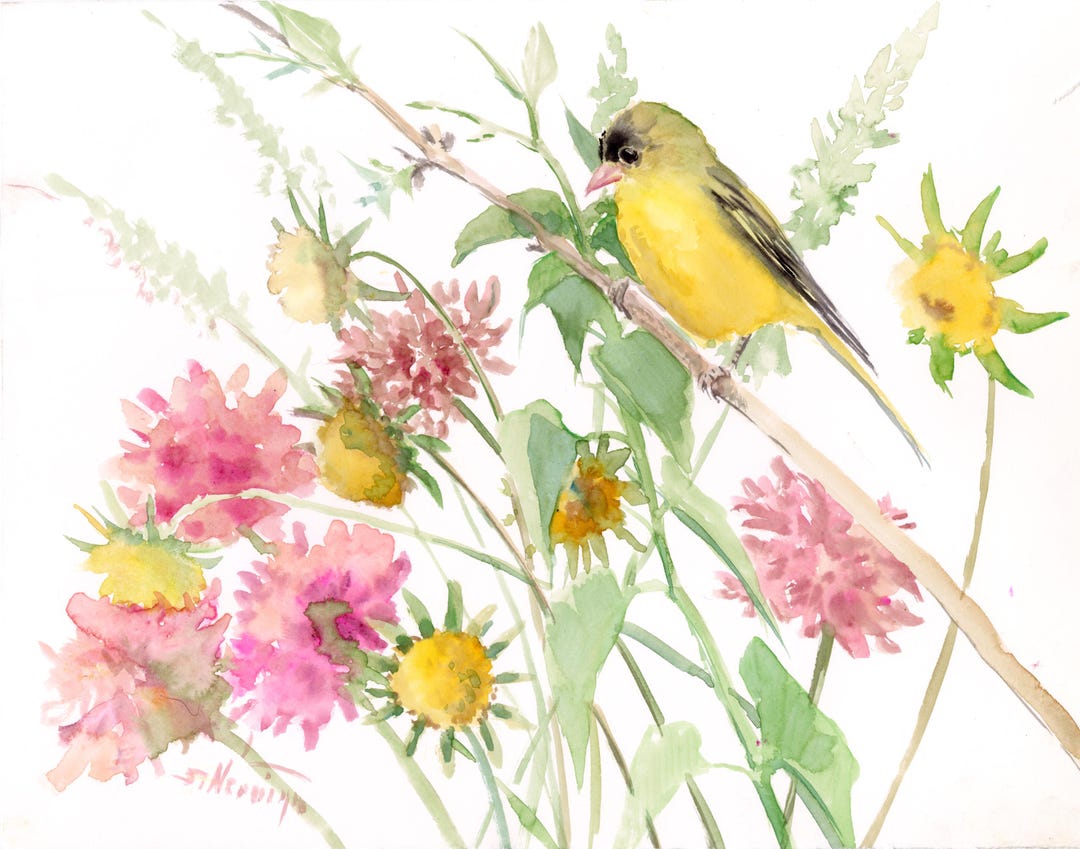 Lesser Goldfinch Watercolor Artwork, Original Painting - Etsy