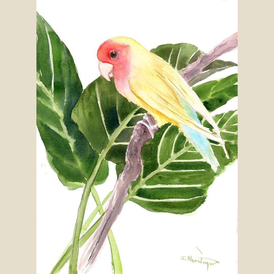 Lovebird Artwork, an Original Watercolor Painting by Artist Suren - Etsy