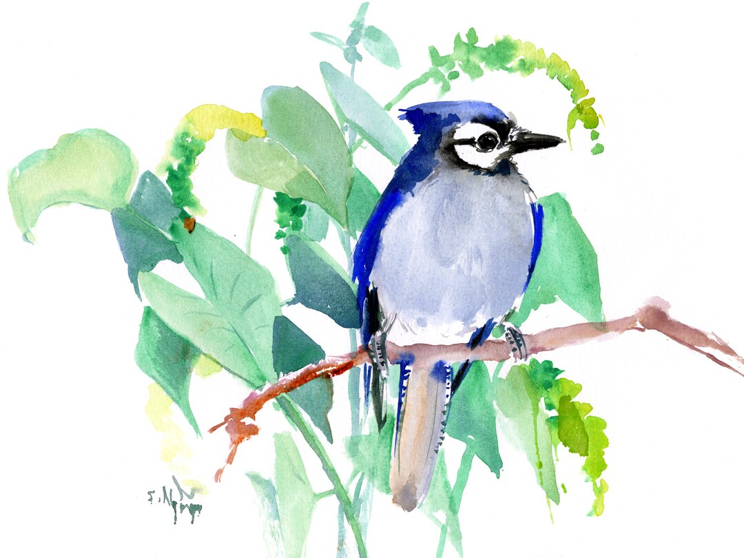 Blue Jay Artwork, an Original Watercolor Painting by Artist Suren - Etsy