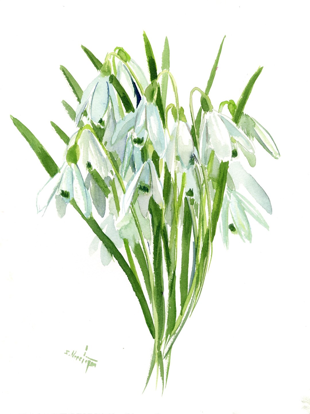 Snowdrop Flowers Artwork, an Original Watercolor Painting by Artist ...