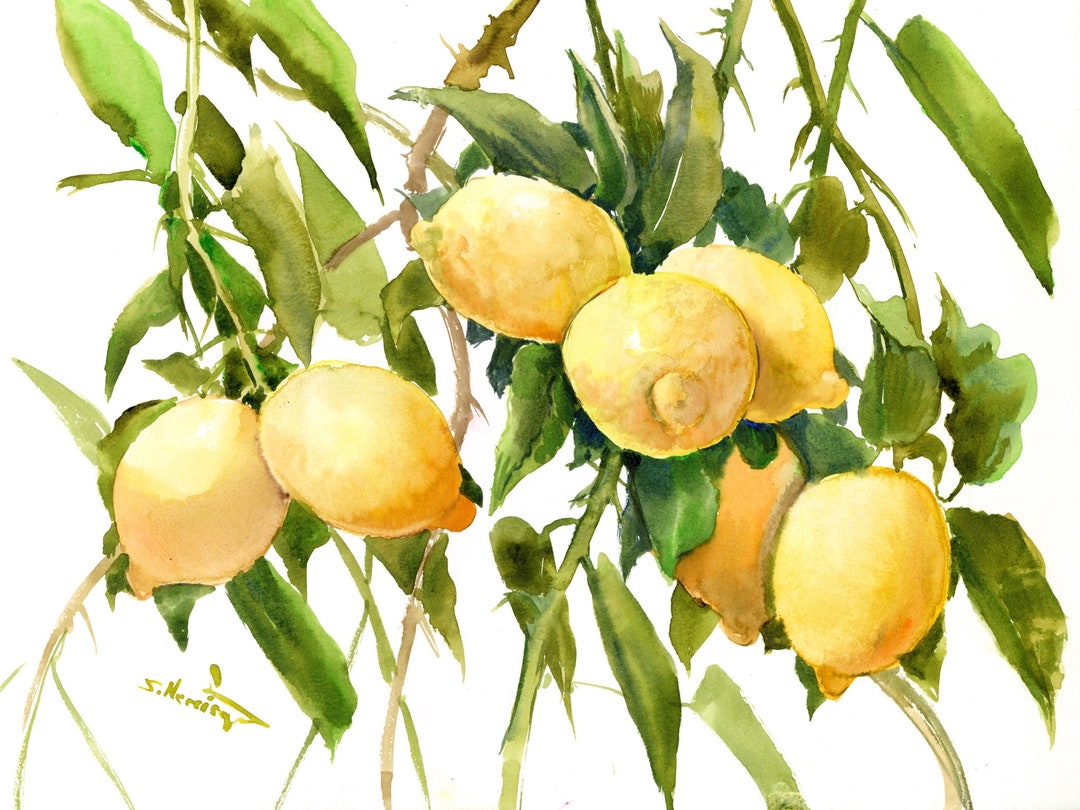 Lemon Tree Artwork, Original Watercolor Painting, Lemons on the Tree ...