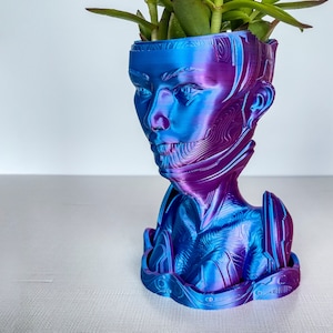 Melted & Dyna Mech Woman Head Planters – Unique Goddess Pots for ...