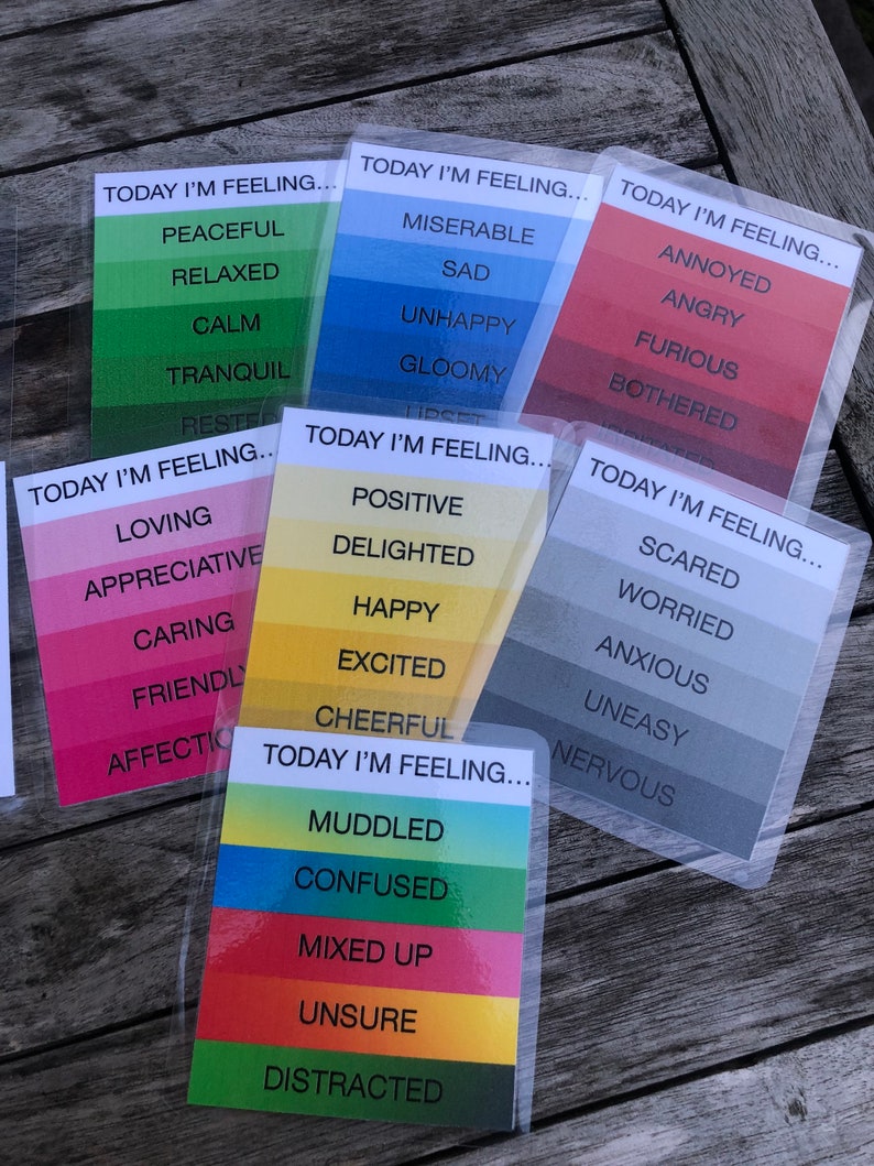 The Colour Monster Emotions Flash Cards - Etsy Canada