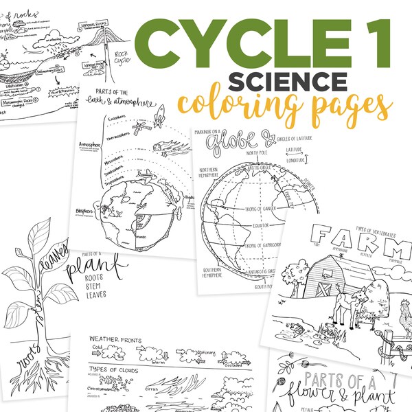 Life Cycle Coloring Pages - Etsy