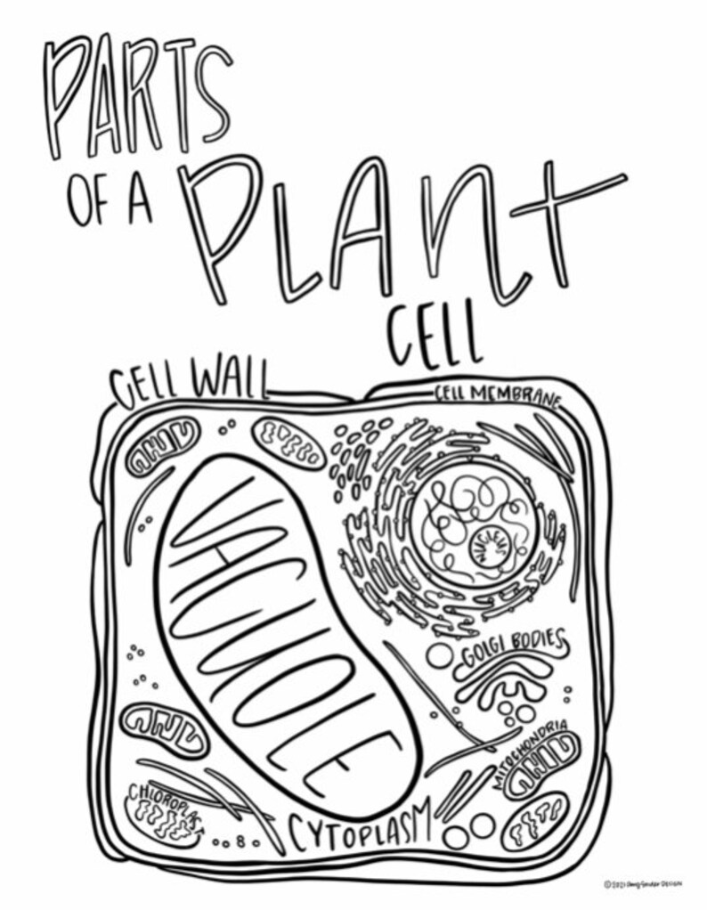Cycle 1 COMPLETE Pack of Memory Work Coloring Pages 5th - Etsy