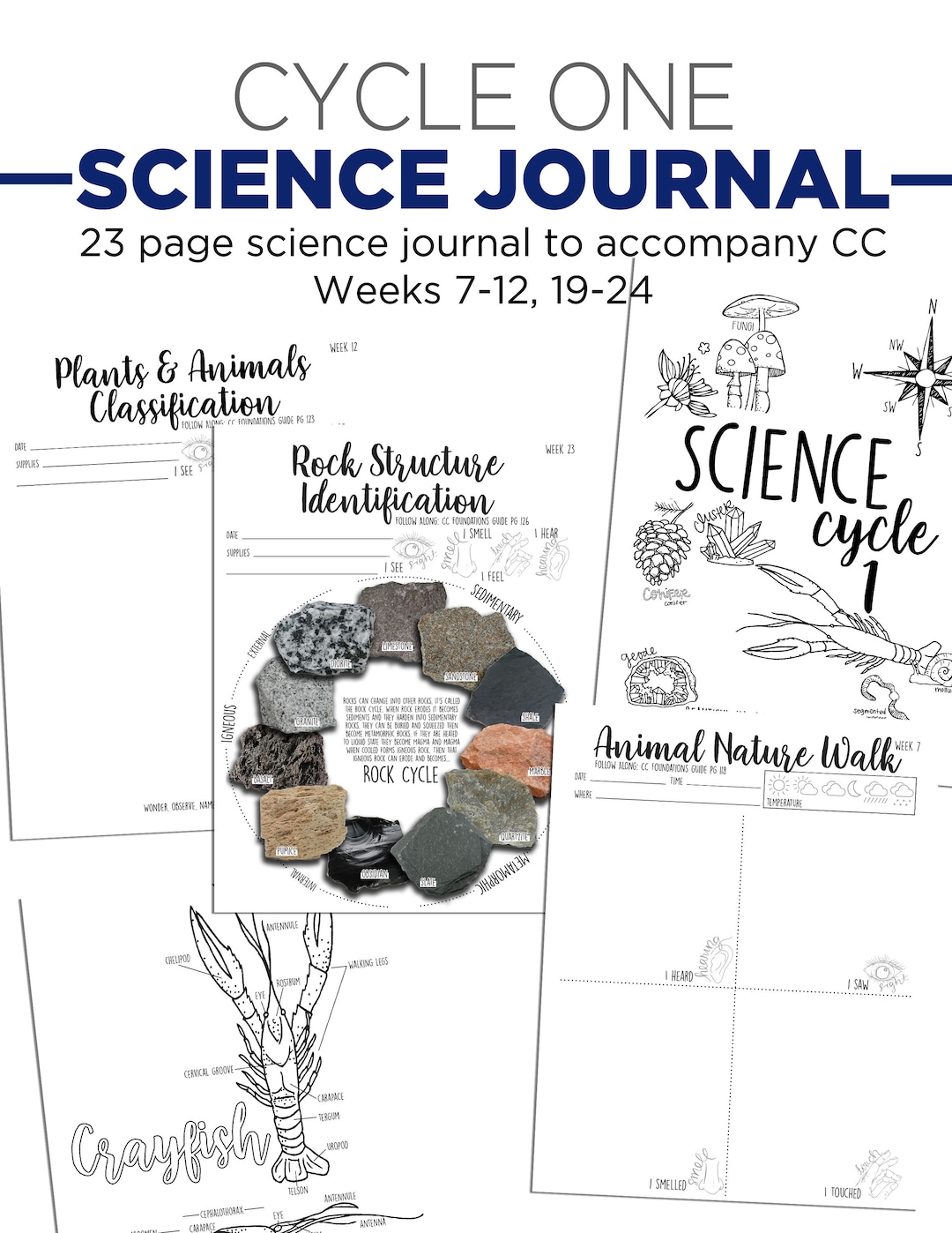 Science Hands on Activity Journal - Etsy