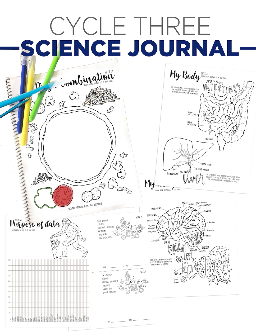 Science Hands on Activity Journal Cycle 3 - Etsy