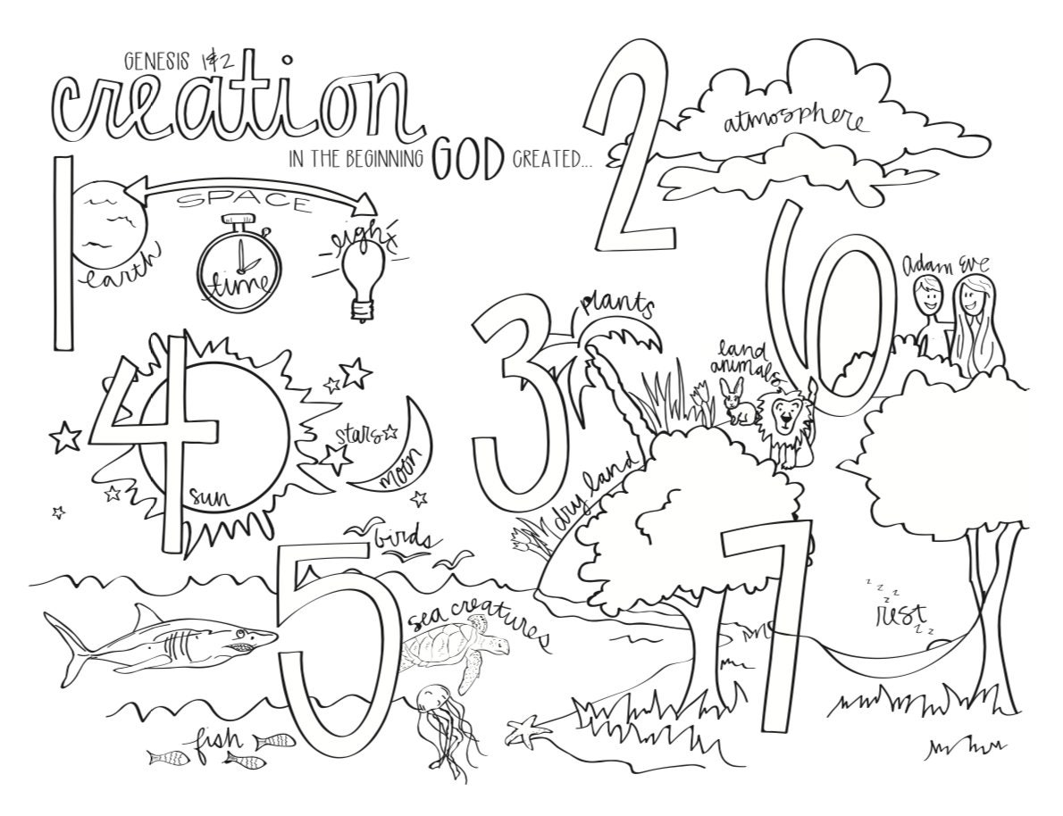 SCIENCE 3 Cycles of Coloring Pages (5th Edition) - Etsy