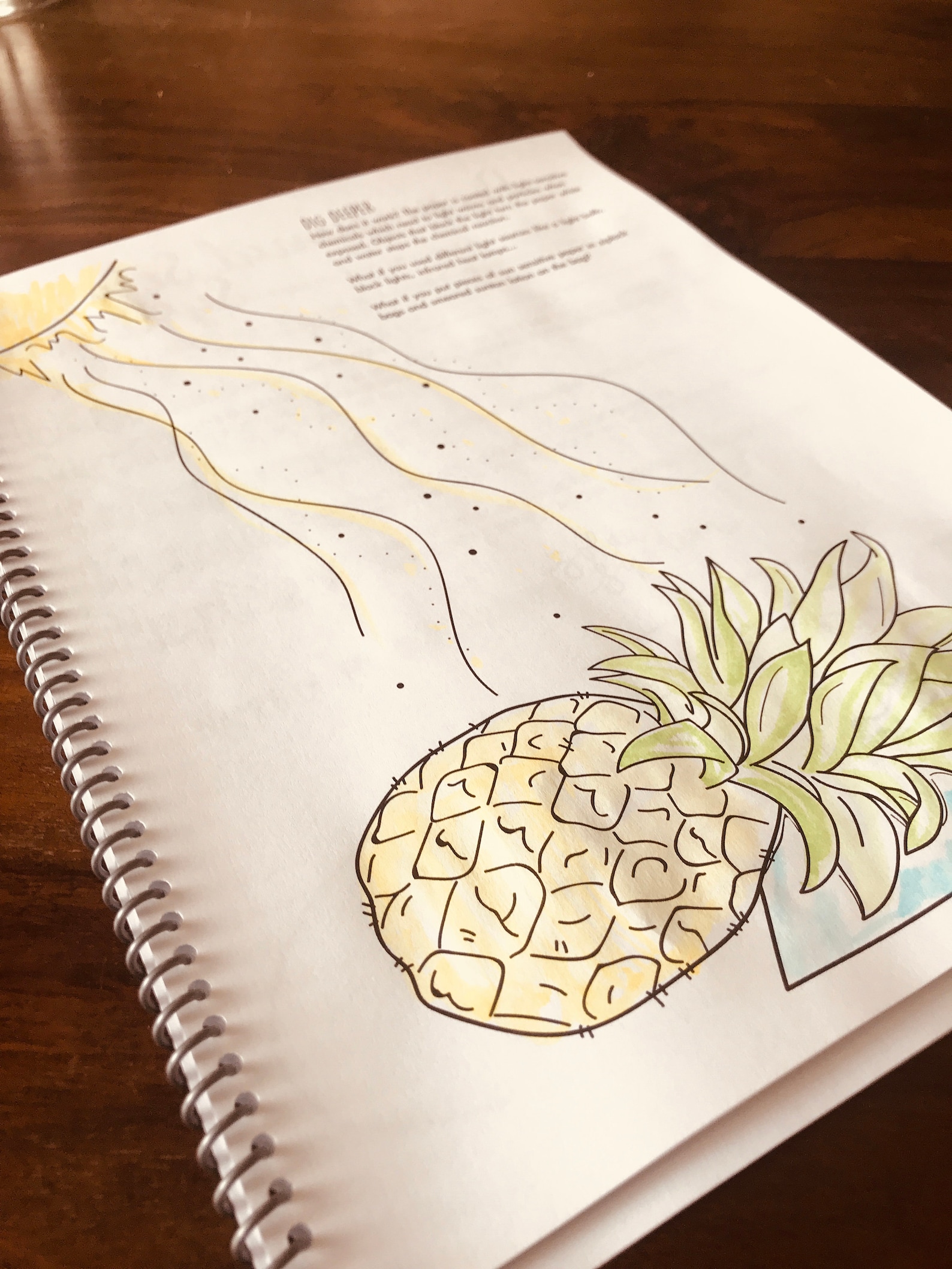 Hands on Science Journal Cycle 2 - Etsy