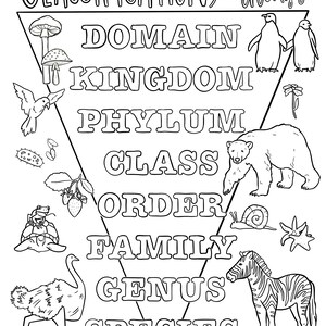 SCIENCE 3 Cycles of Coloring Pages (5th Edition) - Etsy