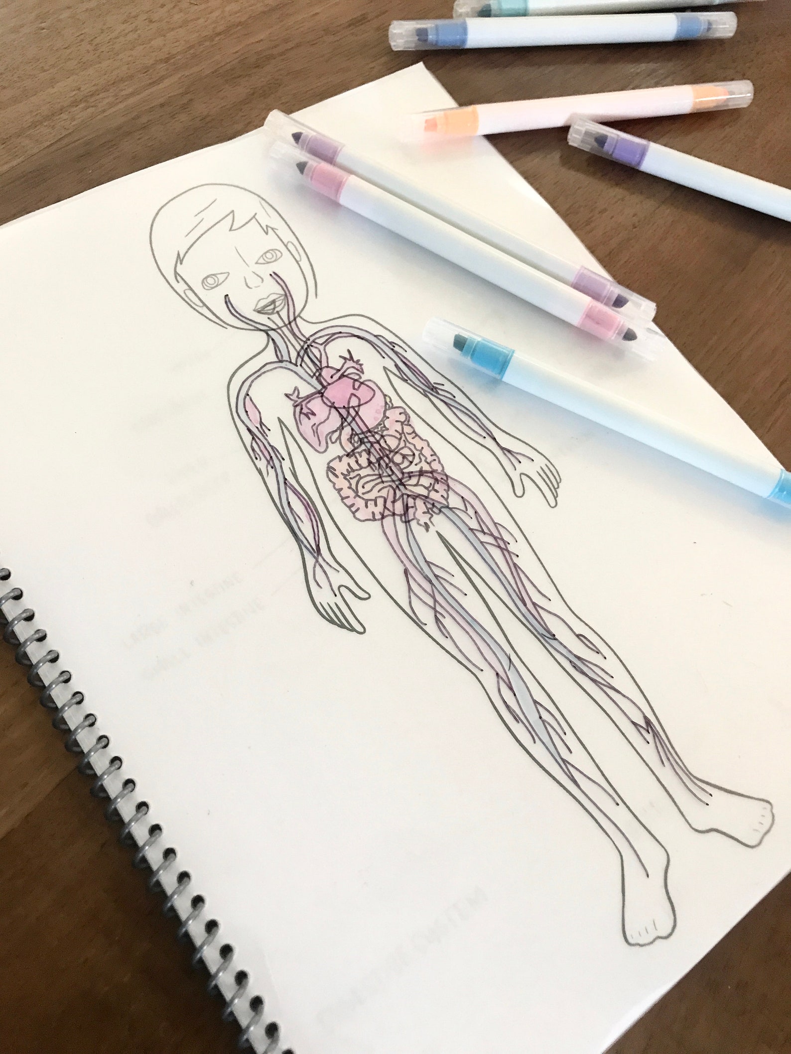 Anatomy Flipbook and Coloring - Etsy