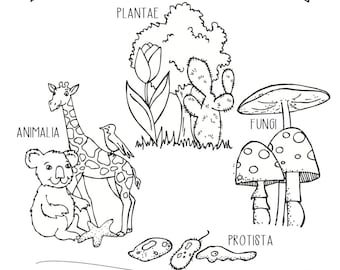 Rumble In The Jungle Book Coloring Pages