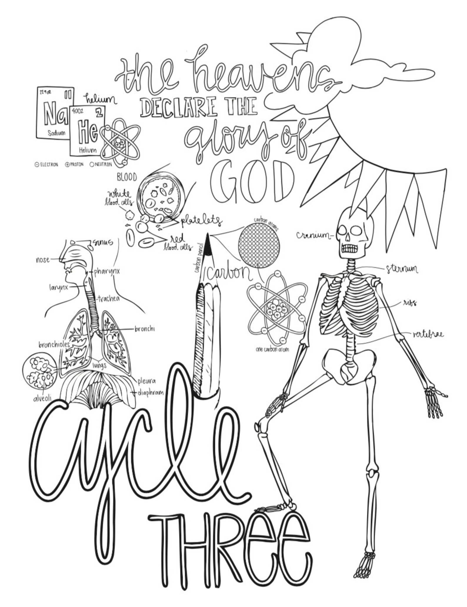 SCIENCE 3 Cycles of Coloring Pages (5th Edition) - Etsy
