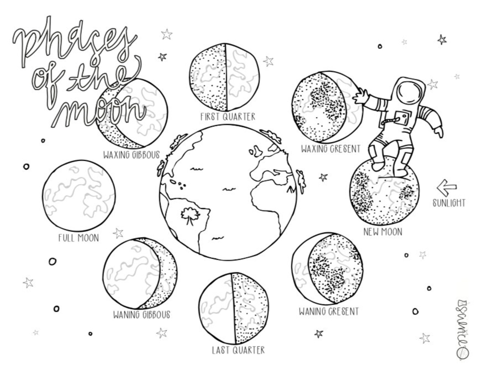 Cycle 2 COMPLETE Pack of Memory Work Coloring Pages 5th | Etsy