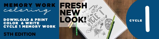 amysniderDESIGN - Etsy