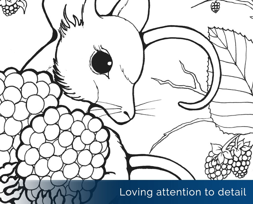 Cute Mouse Coloring Page, Woodland Scene, Fairy World, Fantasy Forest ...
