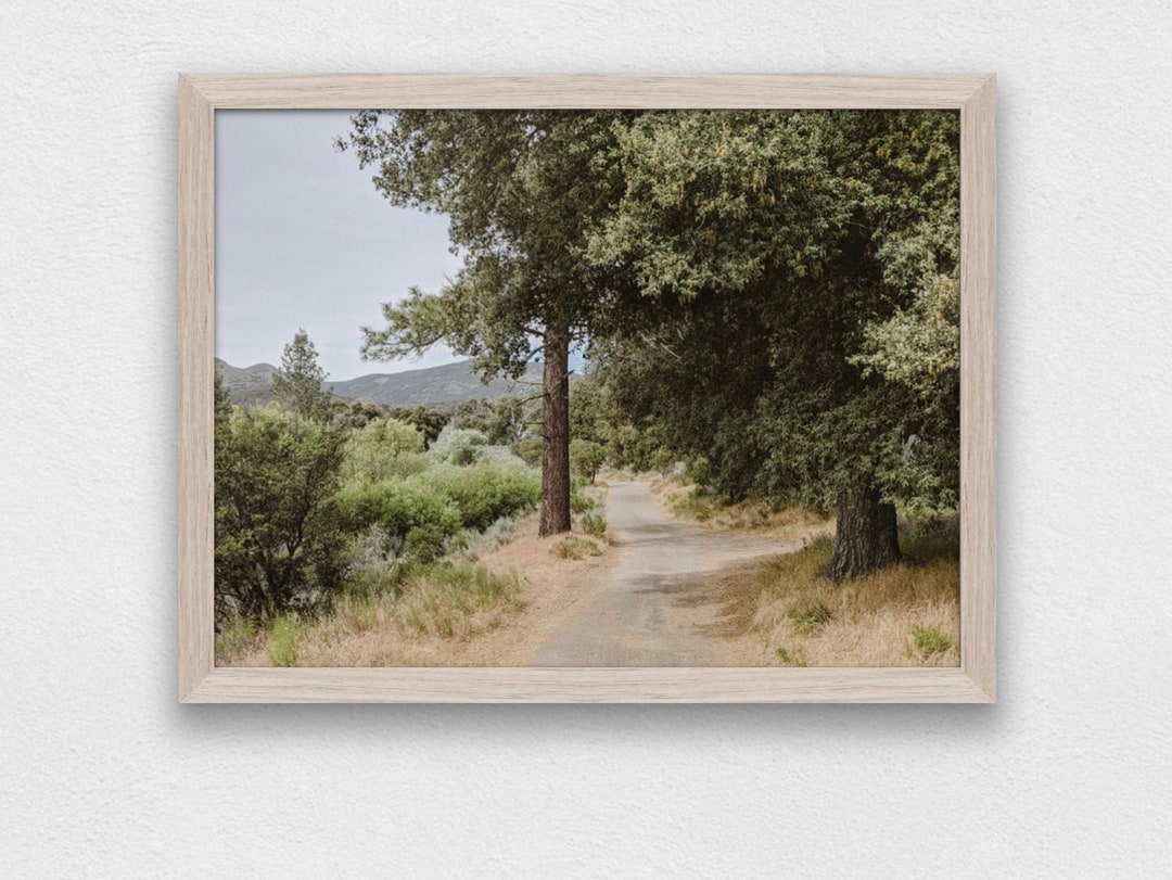 12 X 16 Path Through the Forest in the Mountains of Southern California ...