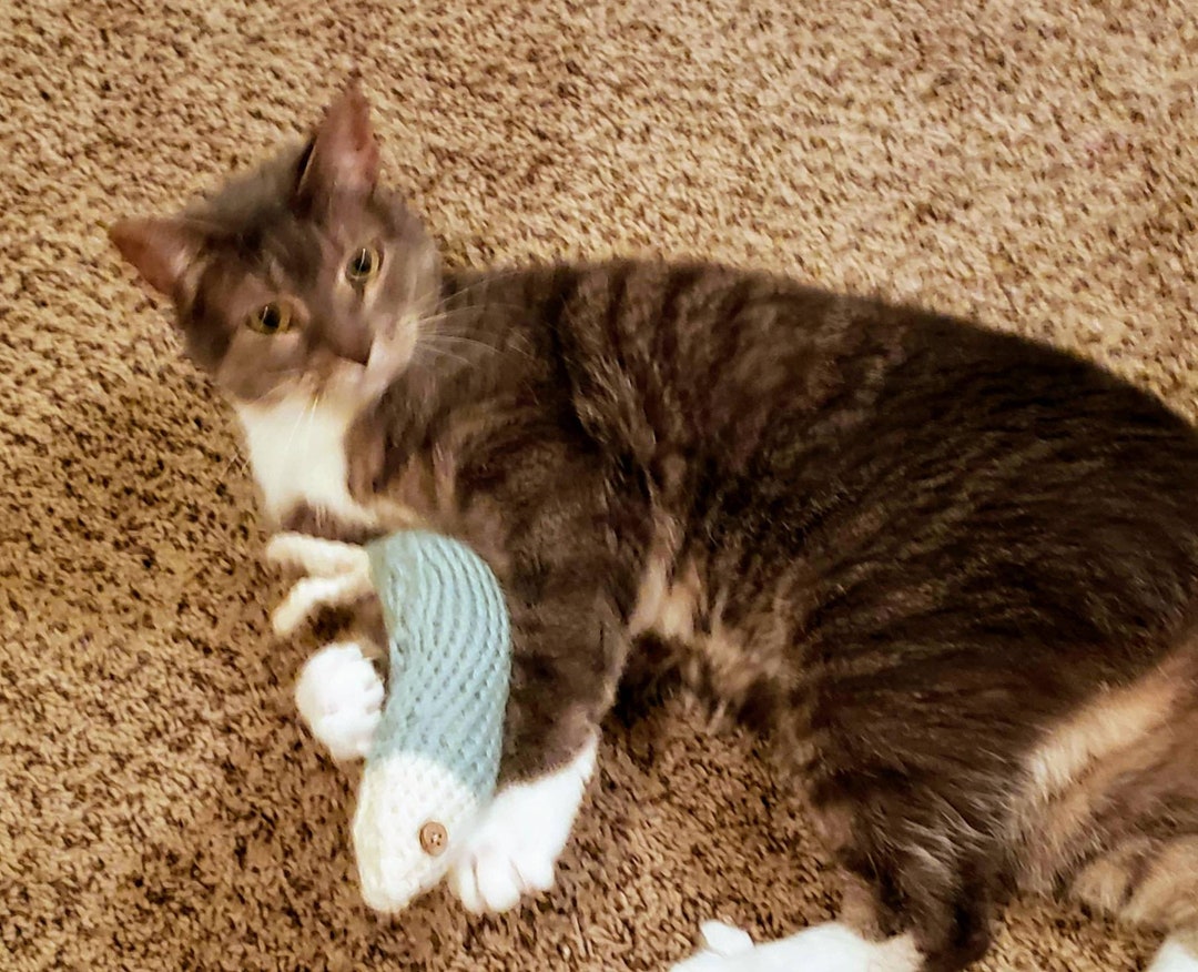 Catnip Fish Toy - Etsy