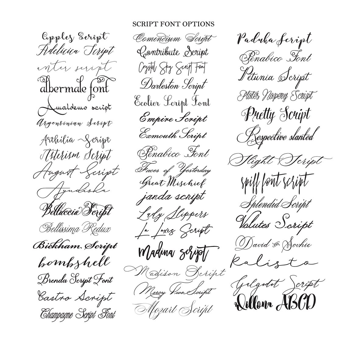 Classic Script Font Formal Couples Family Calling Card - Etsy