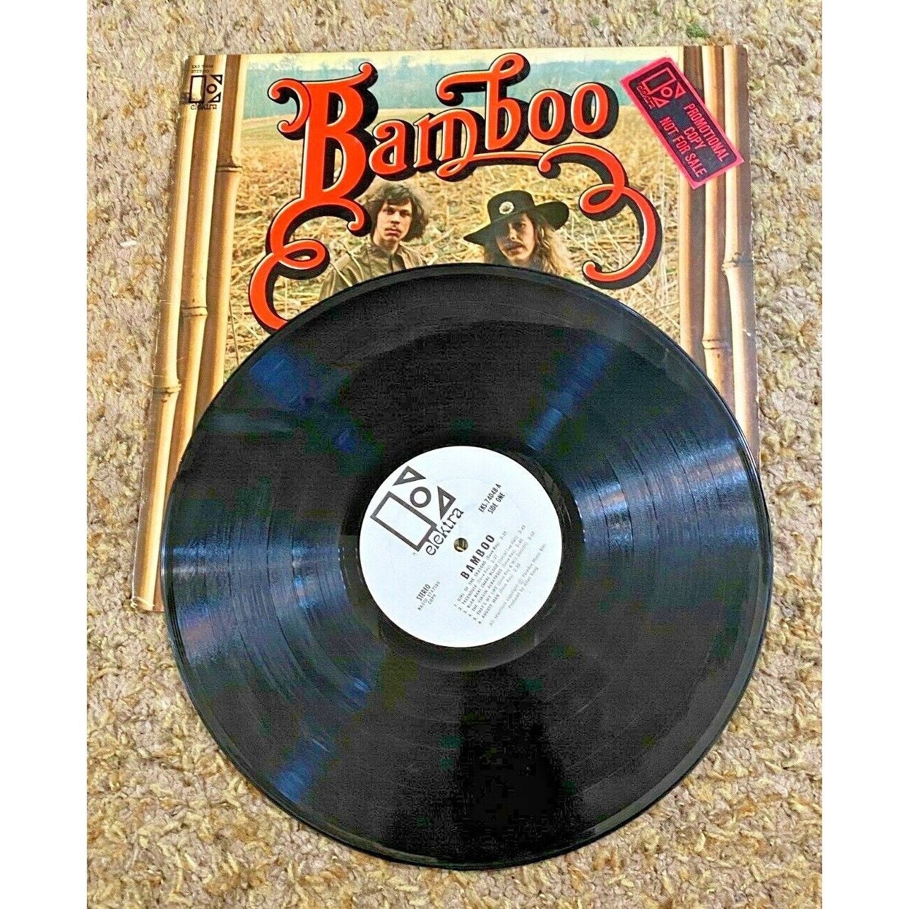 Bamboo Record Album Dave Ray Will Donicht Promotional Copy - Etsy