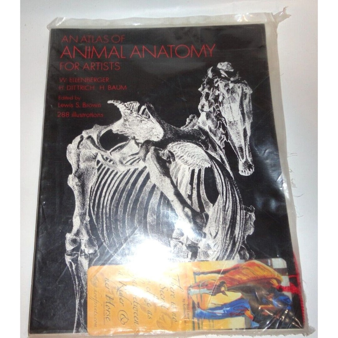 An Atlas of Animal Anatomy for Artists., W. Ellenberger paperback, 1956 ...