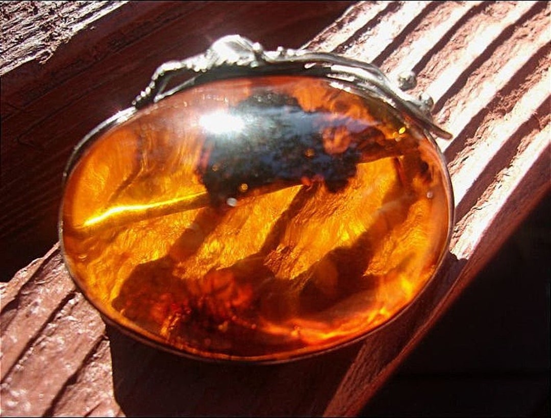Honey Amber Brooch-pendant Sterling Silver, Floral Decoration, Hi ...
