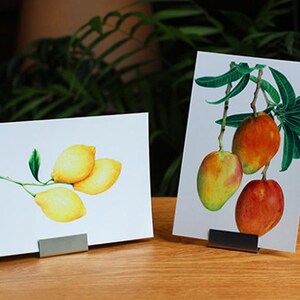 10 Display Name Tag Holder Food Label Card Menu Stand Restaurant Buffet ...