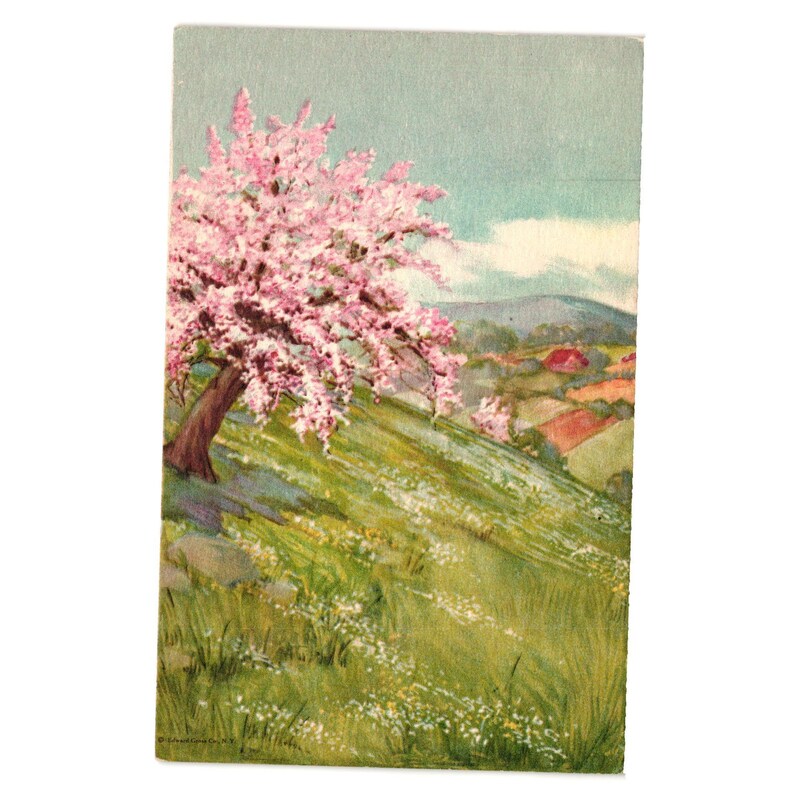 Twelvetrees - Etsy
