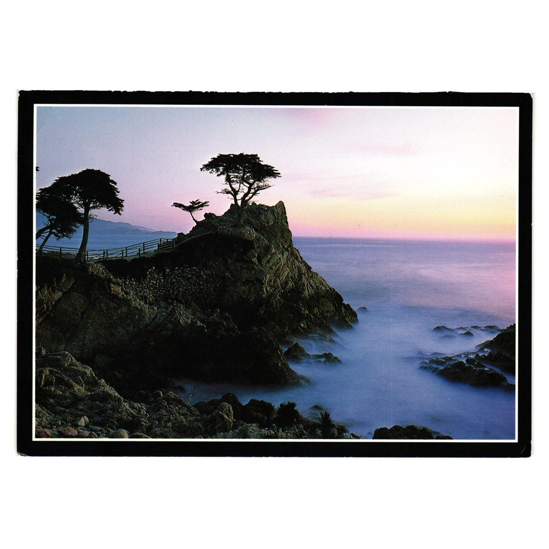 Monterey Peninsula Lone Cypress Postcard Coast Photo California ...