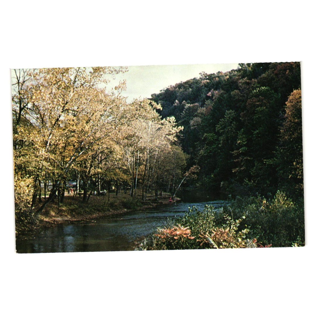 Vintage Postcard Mohican State Forest Loudonville Ohio Trees River Park ...