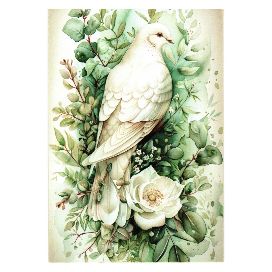 White Dove Botanical Print Art Greenery Flowers Nature Illustration ...
