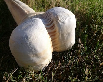 Cubone Bone - Etsy