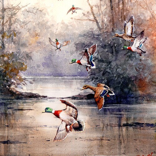Ducks Art Print of Watercolor Painting Forest Wildlife - Etsy