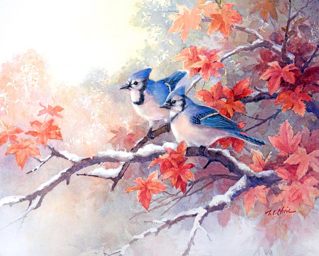 Blue Jay and Maples - Art Print of Watercolor Painting - Etsy