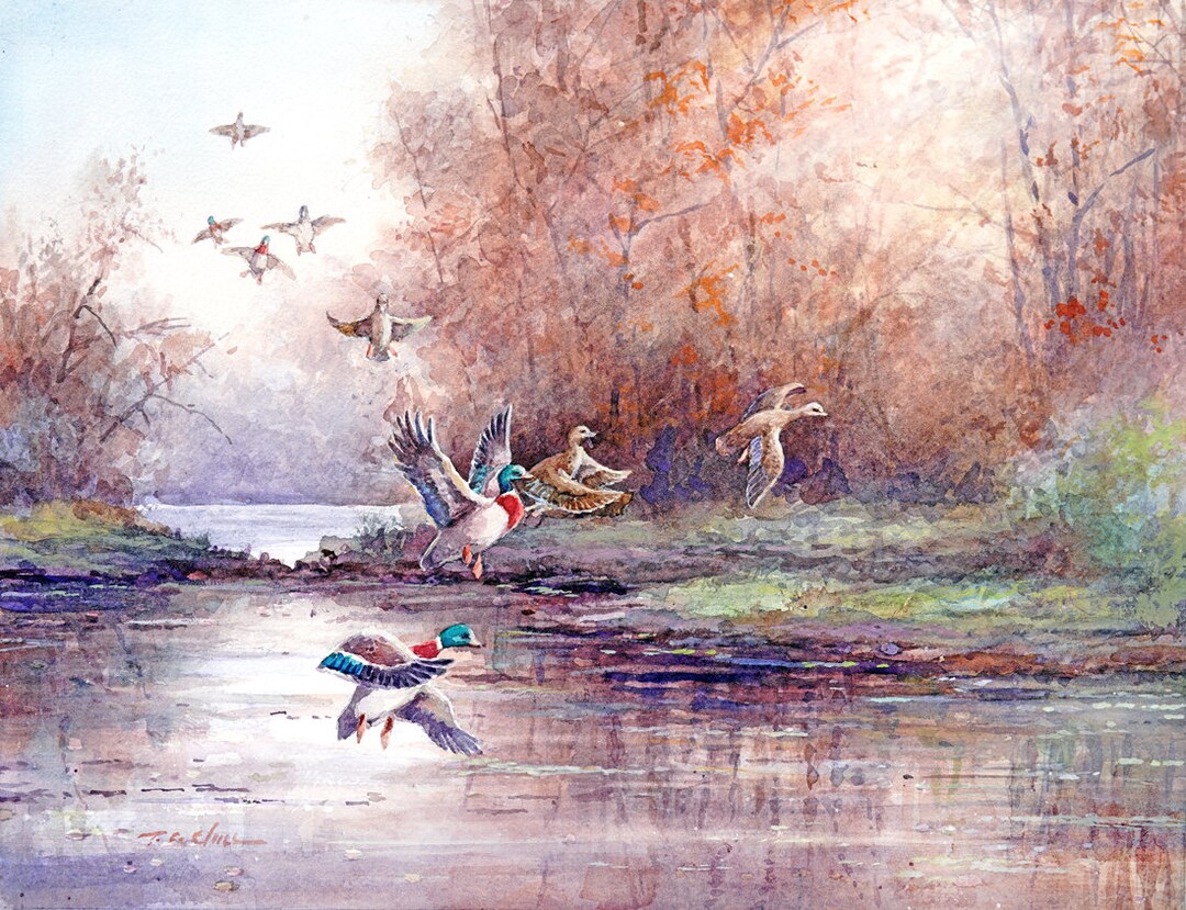 Ducks Art Print of Watercolor Painting Forest Wildlife, Trees, Lake ...