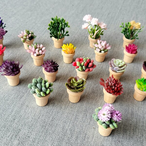 Mini Succulent - Etsy