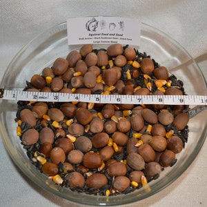 Utah Acorn Mix Squirrel Feed With Black Sunflower Seeds and Dried Corn ...