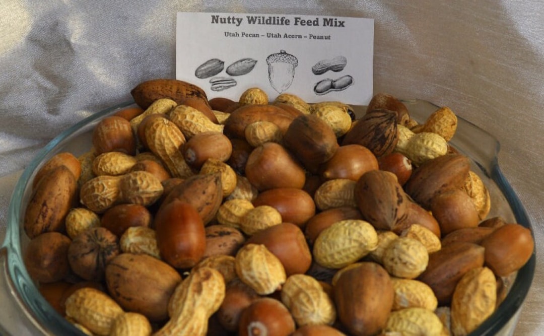 Nutty Wildlife Feed Mix With Utah Acorn, Utah Pecan, Peanut in Shell ...